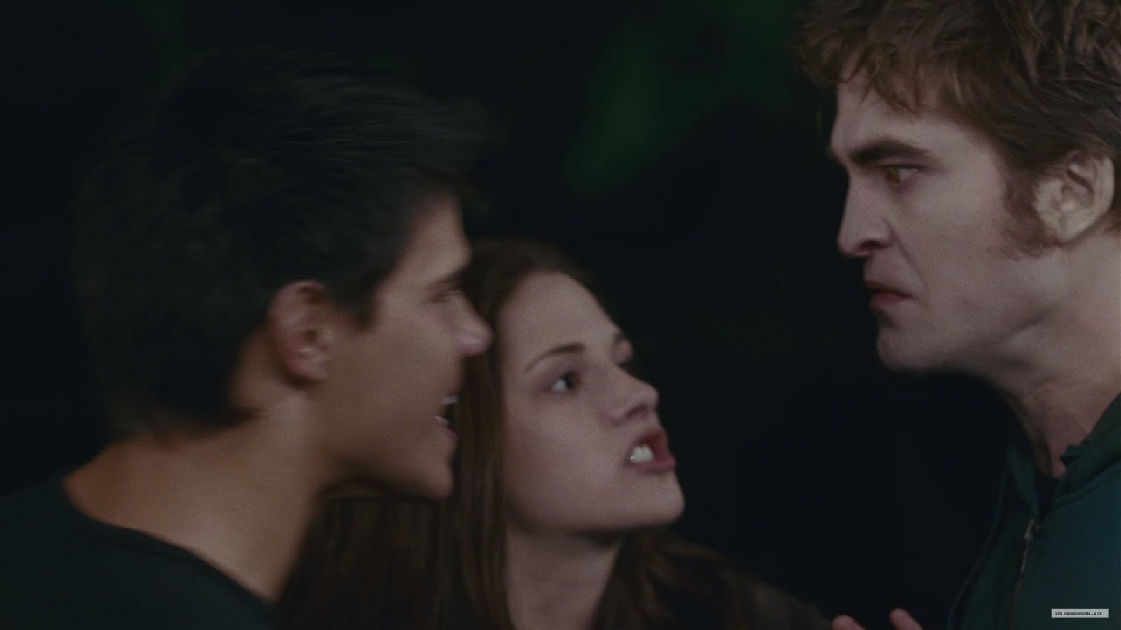 MTGNexus - Shared Animosity